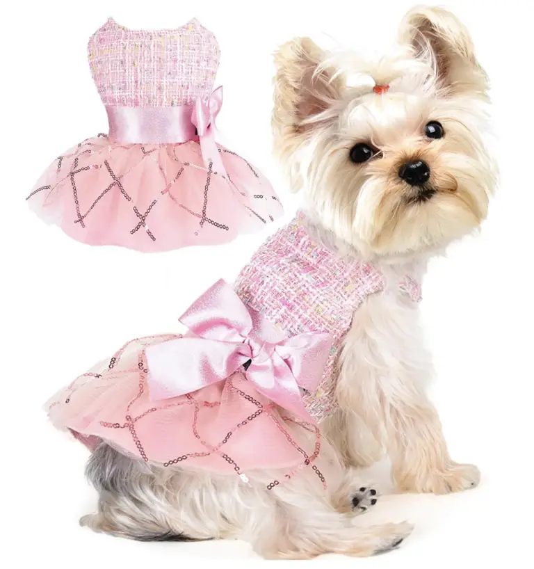 Introducing The Best Yorkie Clothes For Females - Our Yorkie