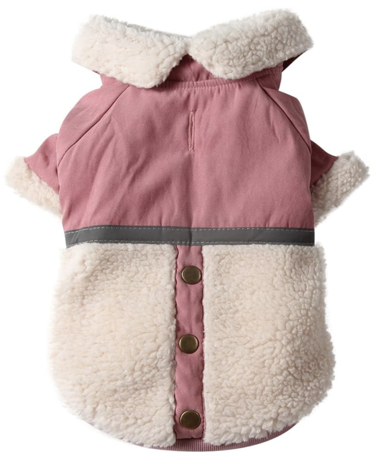 Introducing The Best Yorkie Clothes For Females - Our Yorkie