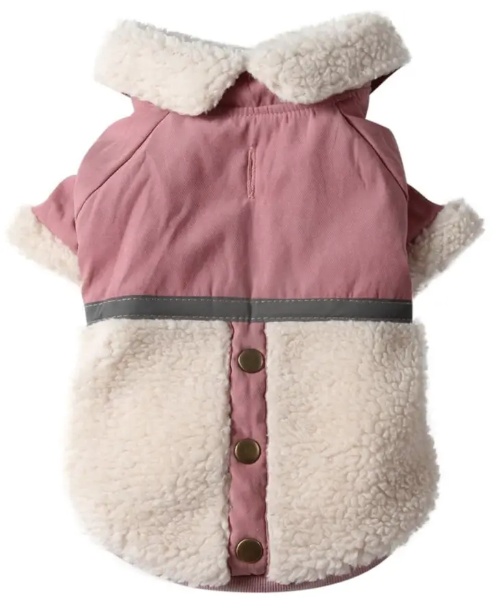 Introducing The Best Yorkie Clothes For Females - Our Yorkie