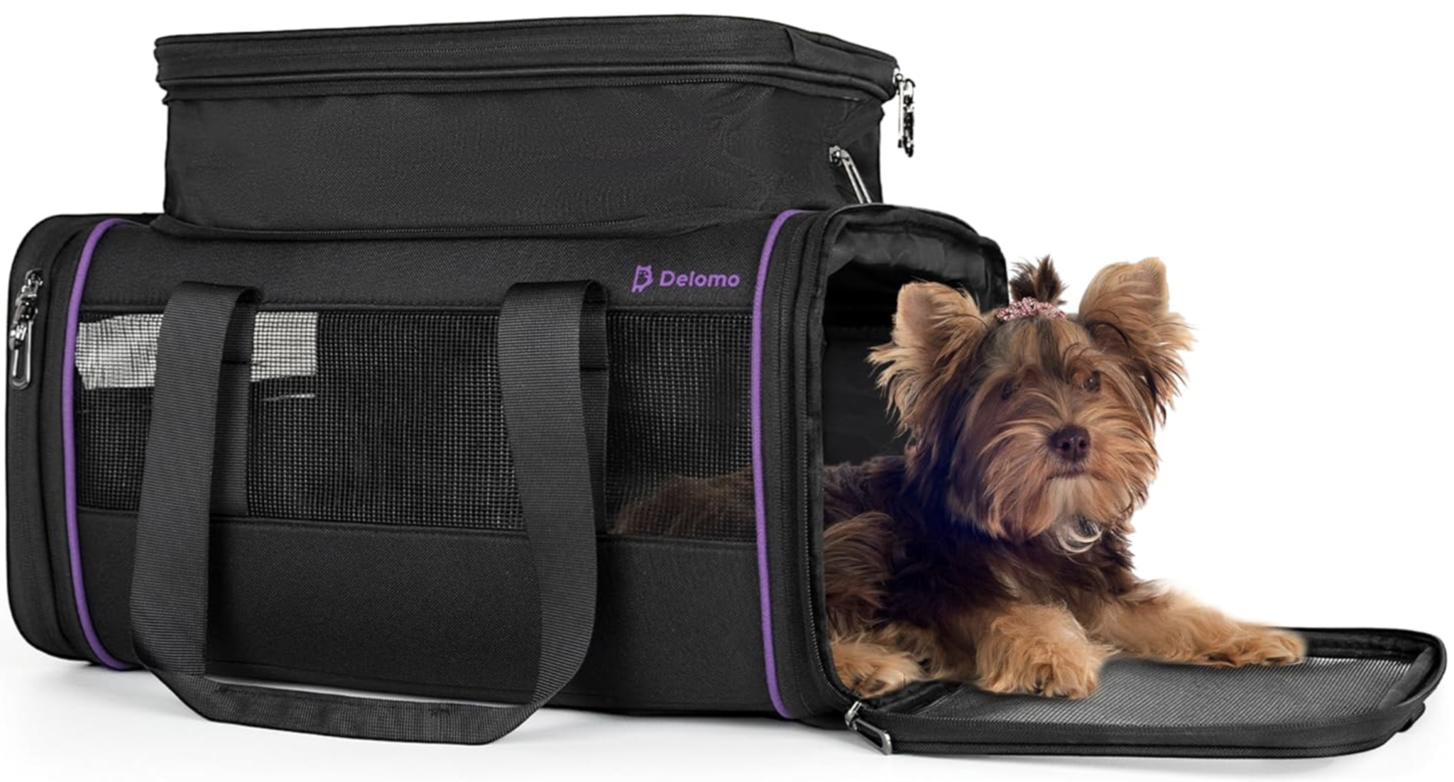 Yorkie Purse Carriers - 5 Great Choices - Our Yorkie