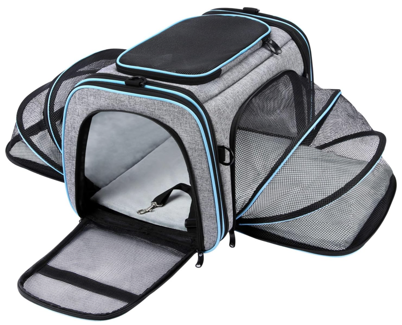 Yorkie Purse Carriers - 5 Great Choices - Our Yorkie