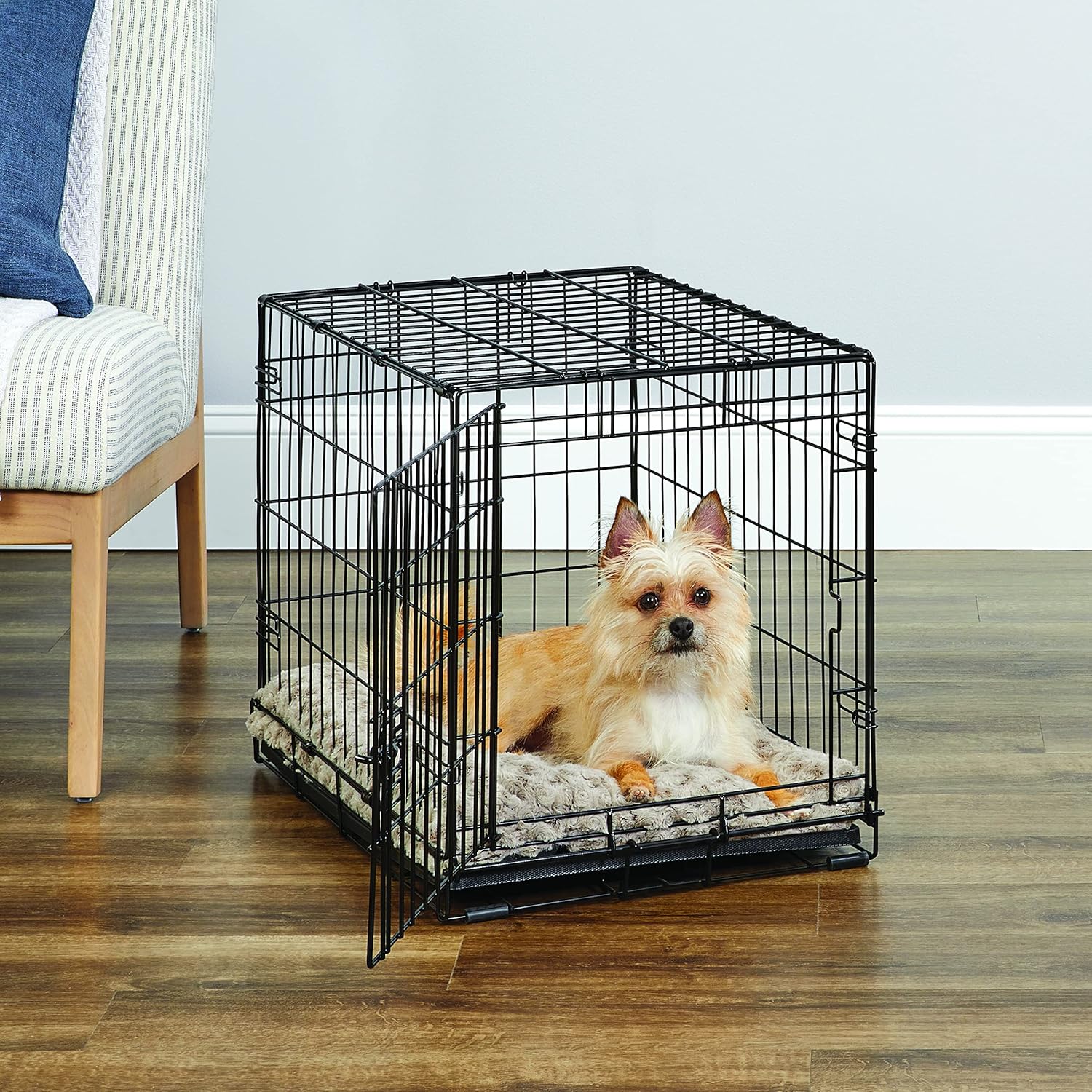 3 Best Crates For Yorkies – Provide Comfort To Your Yorkie - Our Yorkie