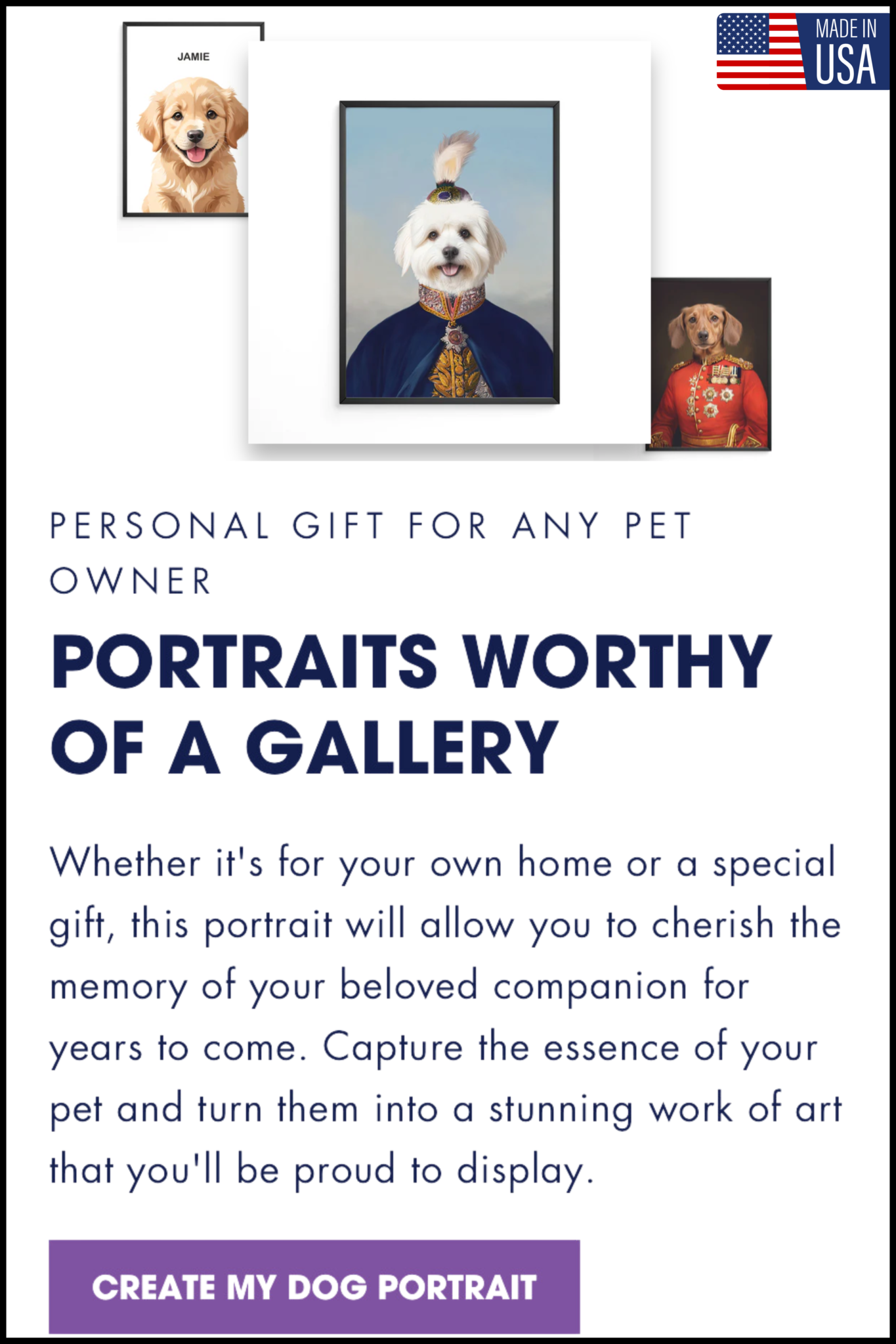 Silver Haired Yorkie – Introduction To This Unique Color - Our Yorkie